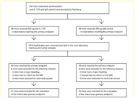Design And Enrolment Of The Preclinical Randomized Multi Centre Trial Download Scientific