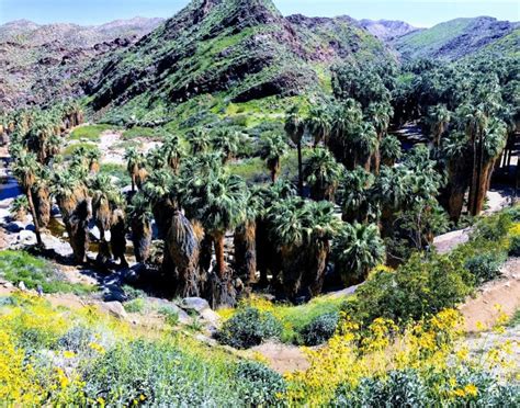 미국여행 미서부 팜스프링스 여행 인디언캐년