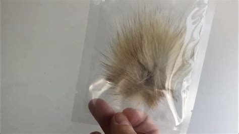 여우생식기부적 애인이 없으신분 금전운상승 필요하신분 Youtube