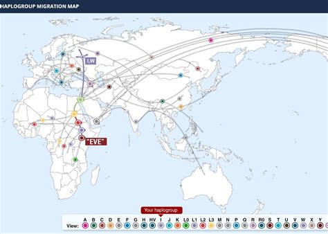 Mtdna Mixed Genes