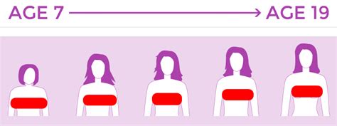 Puberty In Girls When Do Breasts Stop Growing Puberty