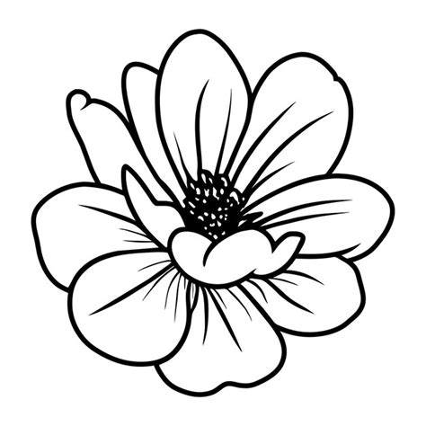 Premium Vector Hand Drawn Simple Flower Illustration