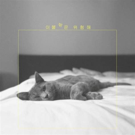 감성사진관 이불밖은 위험해 digital single 2020 maniadb