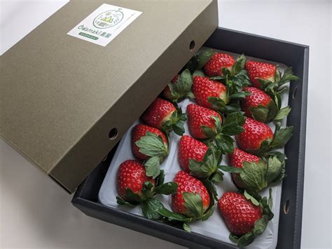 特選『古都華』特別栽培農産物 奈良県ブランドいちご 化粧箱1箱 朝採り！農薬削減栽培！「いちご博2024」金賞受賞：奈良県産の古都華｜食べ