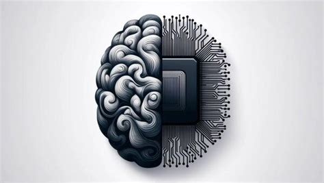 Decoding Intelligence Lessons From Humans And Machines Ahmed Fattah Ahmed Fattah