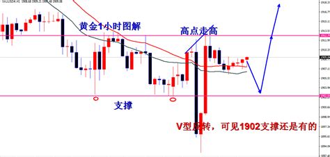 王导：黄金做空连续获利，1902上反手干多中金在线财经号
