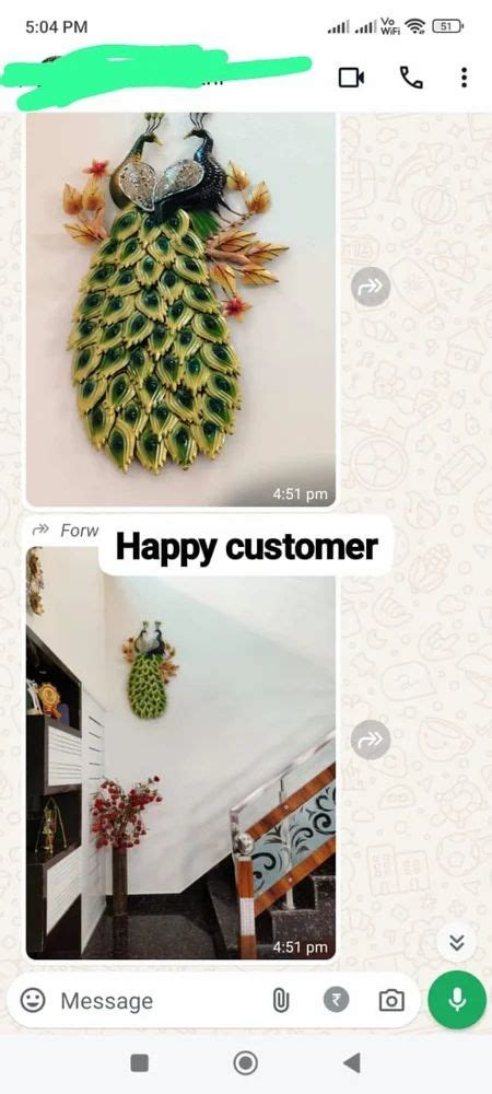 Iron Peacock Wall Decor Hanging For Decoration At Rs 4030 In New Delhi