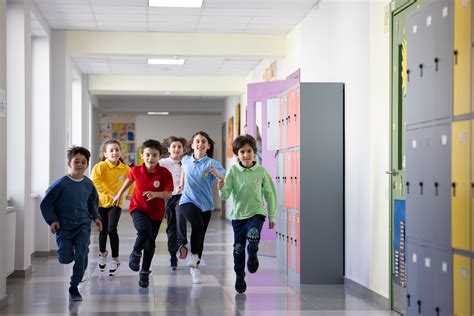 თბილისის თავისუფალი სკოლა • Tbilisi Free School Tbilisi