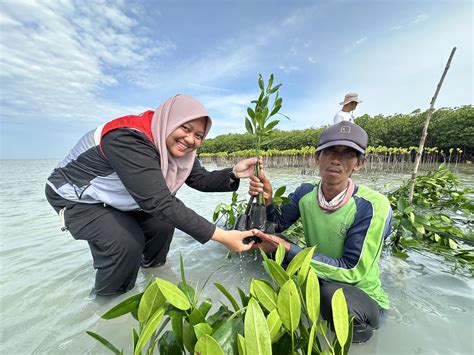 Berdayakan Masyarakat Pesisir Phe Oses Raih Dua Penghargaan Dkj Award 2025 Pt Pertamina Hulu