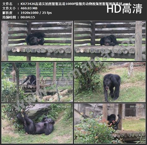 CGMAMA CG妈妈 素材网 高清视频素材下载网 视频素材AE模板舞台背景LED背景视频免费下载 免费素材下载 轻轻一搜 素材