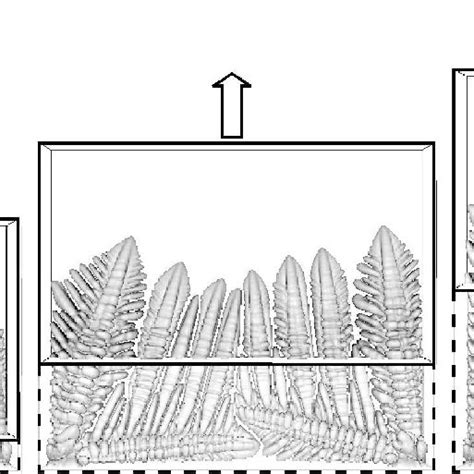 3 Schematic Illustration Of A Dendritic Growth Simulation Obtained By Download Scientific
