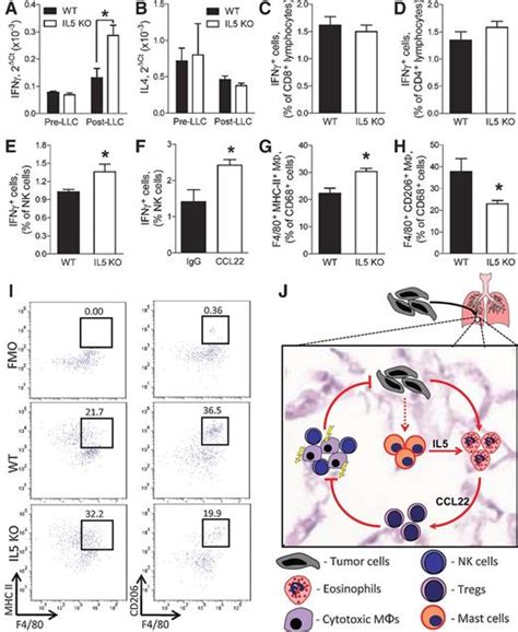 Interleukin 5 Facilitates Lung Metastasis By Modulating The Immune