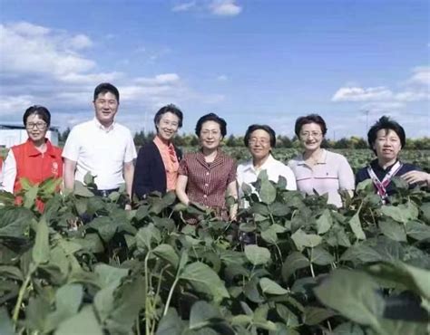 省妇联领导到双城区指导工作澎湃号·政务澎湃新闻 The Paper