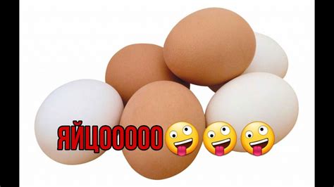Яйцо " Челлендж"🤯🥚 - YouTube