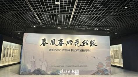 开放开放开放 澎湃号政务 澎湃新闻 The Paper