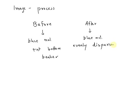 Solved The Following Picture Depicts What Process Before After Osmosis Simple Diffusion Active
