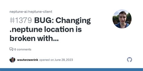 BUG Changing Neptune Location Is Broken With NeptuneLogger Issue Neptune Ai Neptune