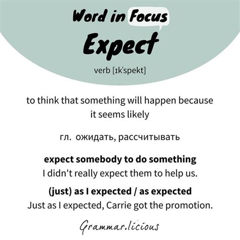 Как использовать Expect в предложении Словосочетания со словом Expect