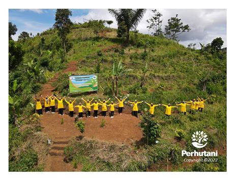 Perhutani IIK Perhutani Cianjur Bersama LMDH Sugih Mukti Tanam Bibit