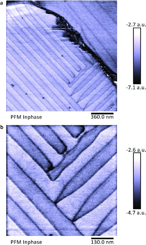 A High Resolution Pfm Image Of A Ferroelectric Mapbi 3 Cl Domain Download Scientific