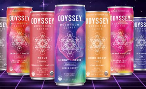 Odyssey Wellness Organic Rtd Functional Mushroom Elixirs Prepared Foods