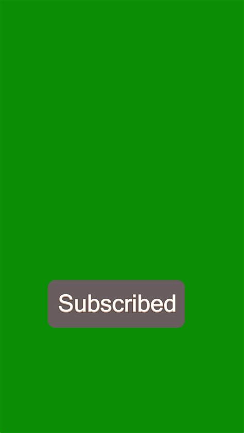 Green Screen Animated Subscribe Button Stock Video Footage For Free Download