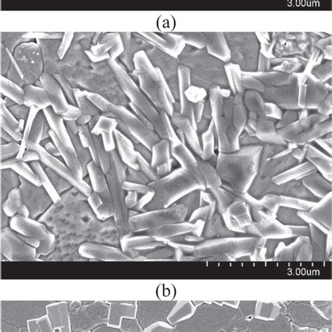 Sem Image Of Sintering Agent Free Zircon Ceramics Prepared By Sps Of