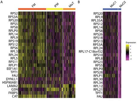Supplement 2 A Heatmap Depicting Gene Expression Of The Top 25