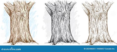 Tree Trunk Stock Illustration Illustration Of Drawing 20240820