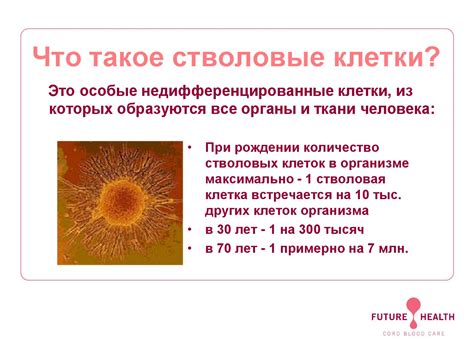 Что такое стволовые клетки для волос - 86 фото