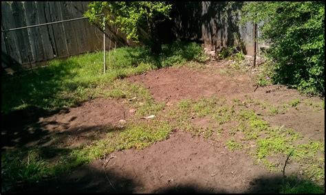 Gopher Proof Garden Beds Krafty Fox