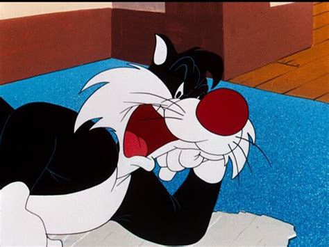 Sylvester Looney Tunes Wiki