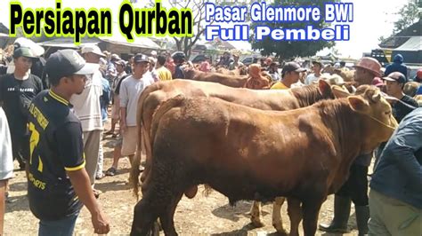 12 000 Sapi Limousin Super Persiapan Qurban YouTube