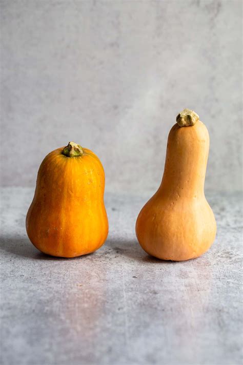 What Is Honeypatch Squash Squash Food Banjo