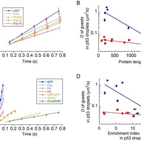 Diffusion Of Guests In P53 Tetramer Droplets Depend On The Structural Download Scientific
