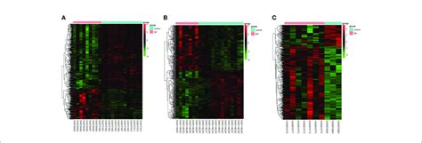 the heatmap of clustering analysis of degs with consistency from