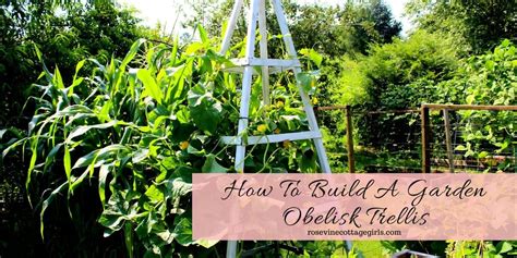 How To Build A Garden Obelisk Trellis Easy 7 Step Diy Tutorial