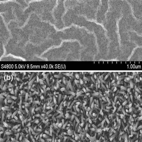 Sem Images A Zno Seed Layer B Zno Nanorods With Zno Seed Layer