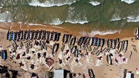 Du Sexe Et Des Risques Pour Du Poisson