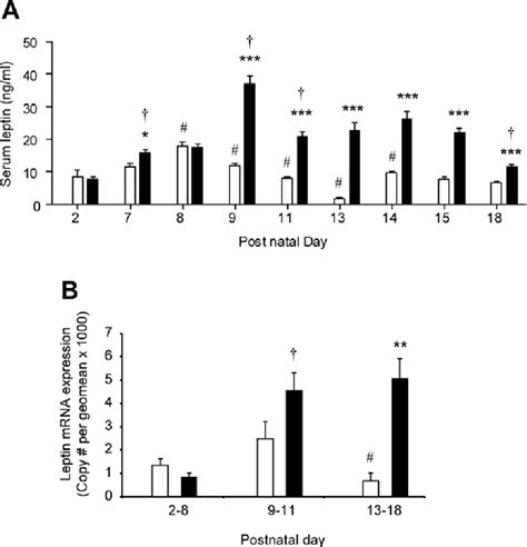 Structure Of Paraventricular Nucleus Semantic Scholar