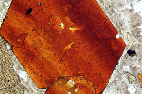 Biotite Microscope