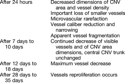 Choroidal Neovascularization Type 2 Features After Anti Vegf Injection Download Table