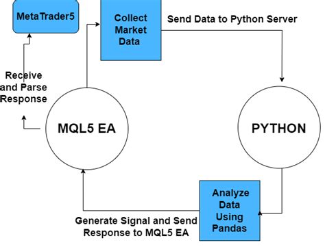 Price Action Analysis Toolkit Development (Part 9): External Flow - MQL5 Articles