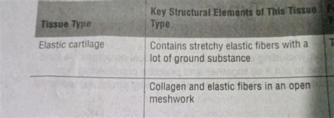 Tissue Type Key Structural Elements Of This StudyX