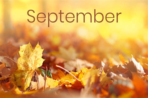 Here Is Your September Support