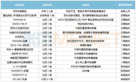 人福医药爆发了！麻醉新药大涨145，10款1类新药、6个首仿冲刺，61个过评品种亮眼