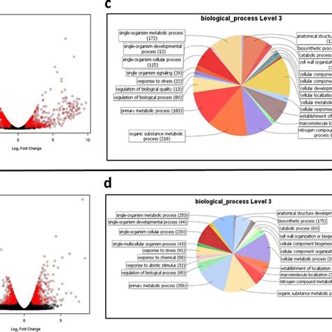 Schematic Presentation Of The Dual Transcriptome Analysis