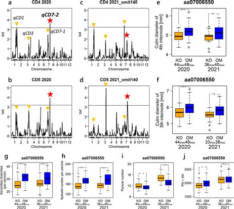 Qtl Analysis Of Culm Diameter And Trait Values By Alleles In Qcd7 2 A