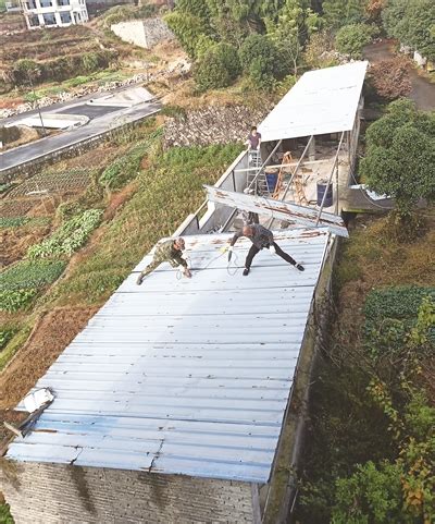 今日新昌数字报刊平台 儒岙镇查处疑似违建卫星图斑