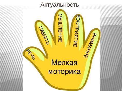 Картинки для презентации мелкая моторика 80 фото